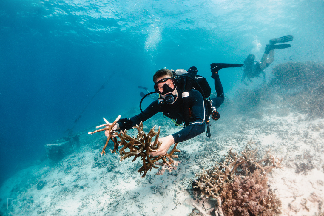 contactus | Blue Marlin Dive Gili Trawangan